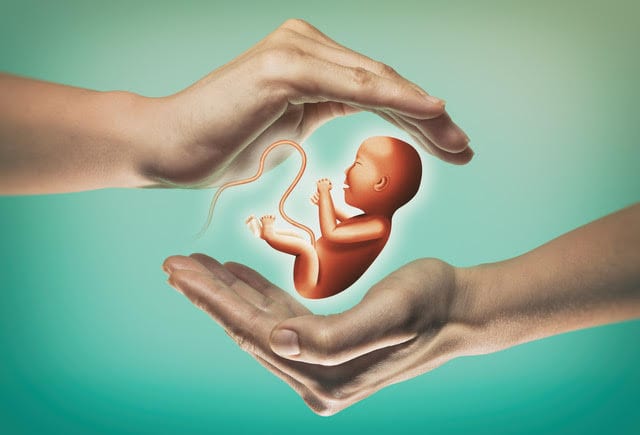 Obesity & Fertility In Females - Effect & Treatment: NOSC